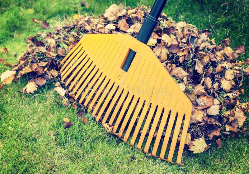 Raking the autumn leaves stock image. Image of bright - 1398851