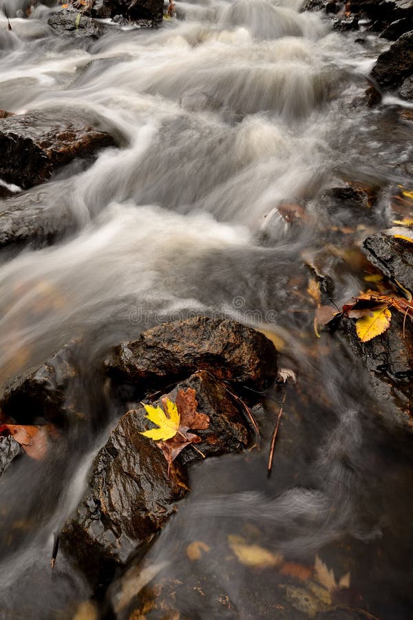 Autumn Leaves and Rapids of a Stream Stock Image - Image of foliage ...