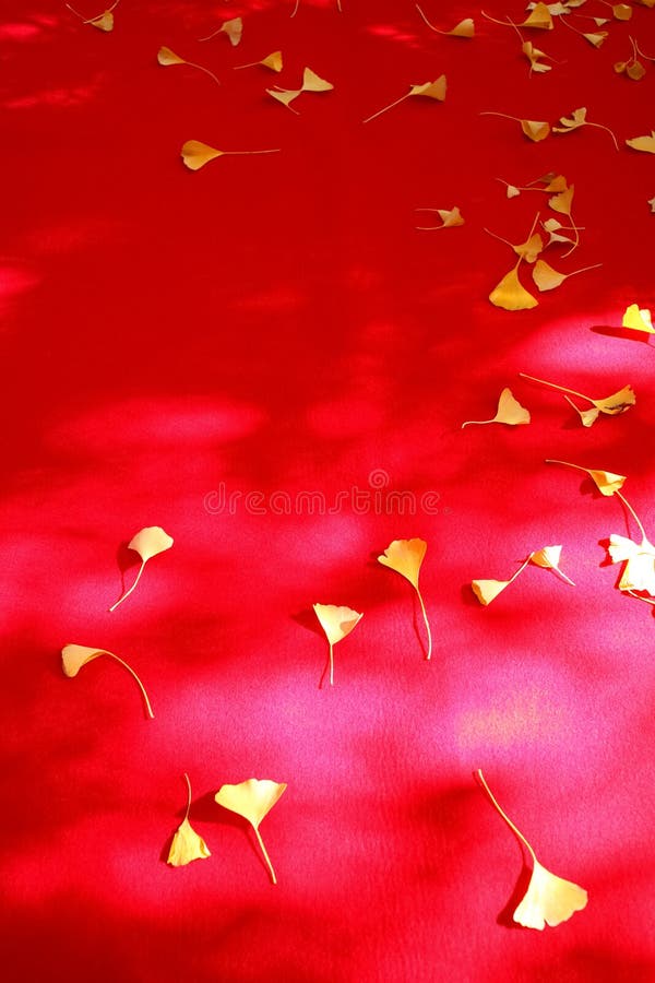 Autumn Leaves on Red Fabric Stock Image - Image of nature, colorful ...