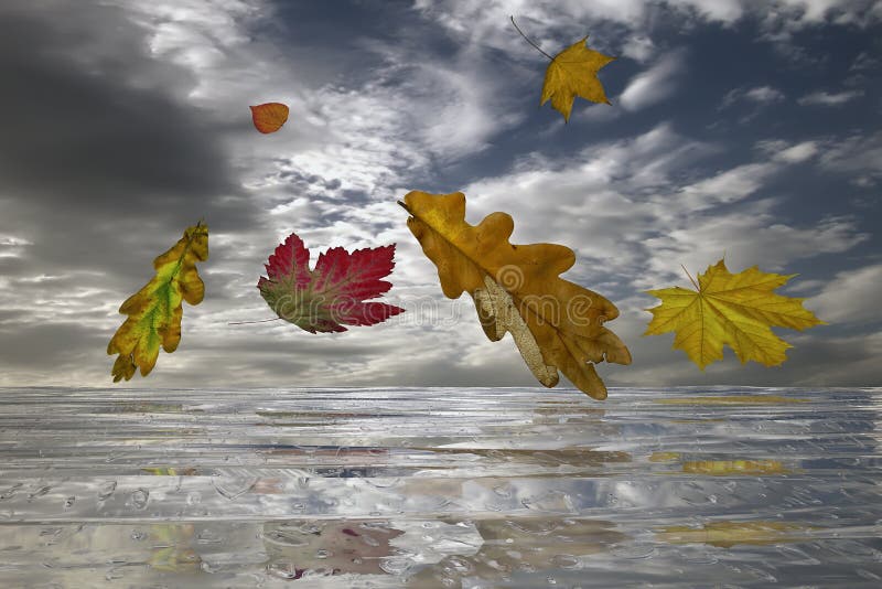 Autumn Leaves Reflecting in the Water Waves Stock Illustration ...