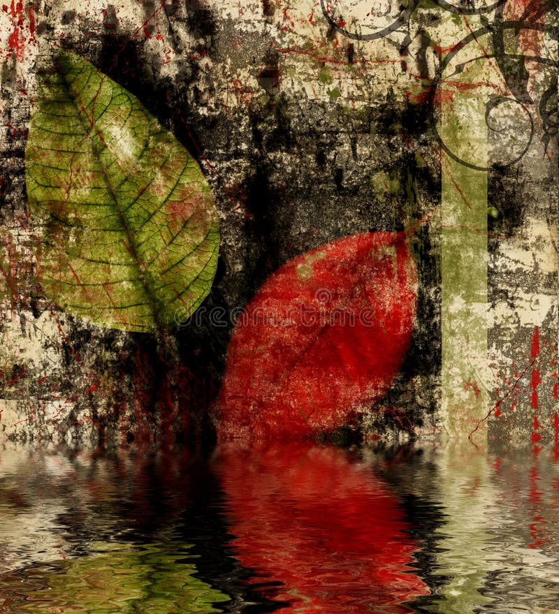 Autumn Leaves Reflection stock photo. Image of leaves - 5602730