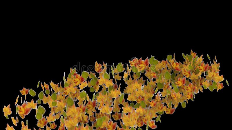 Autumn Leaves Reveal Element Stock Footage - Video of orange, text ...