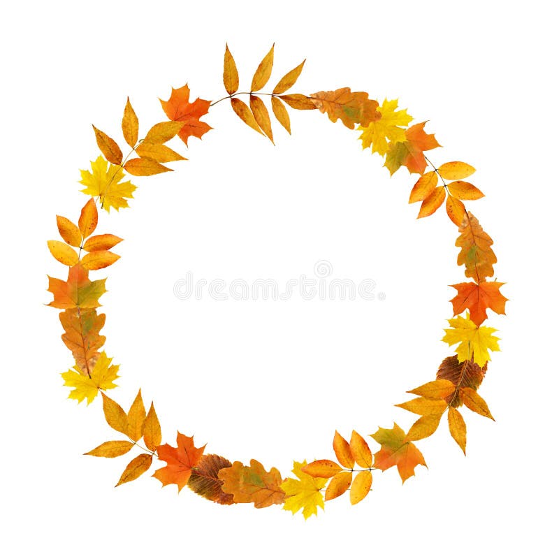 Autumn Leaves Ring stock image. Image of design, wreath - 62022729