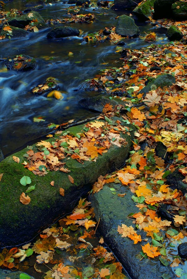 Autumn leaves on river stock image. Image of colors, overhead - 3522909