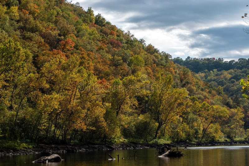 Autumn Leaves beside the River in Arkansas Stock Image - Image of ...