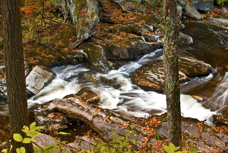 Autumn Leaves by River Stream Stock Image - Image of scene, landscape ...