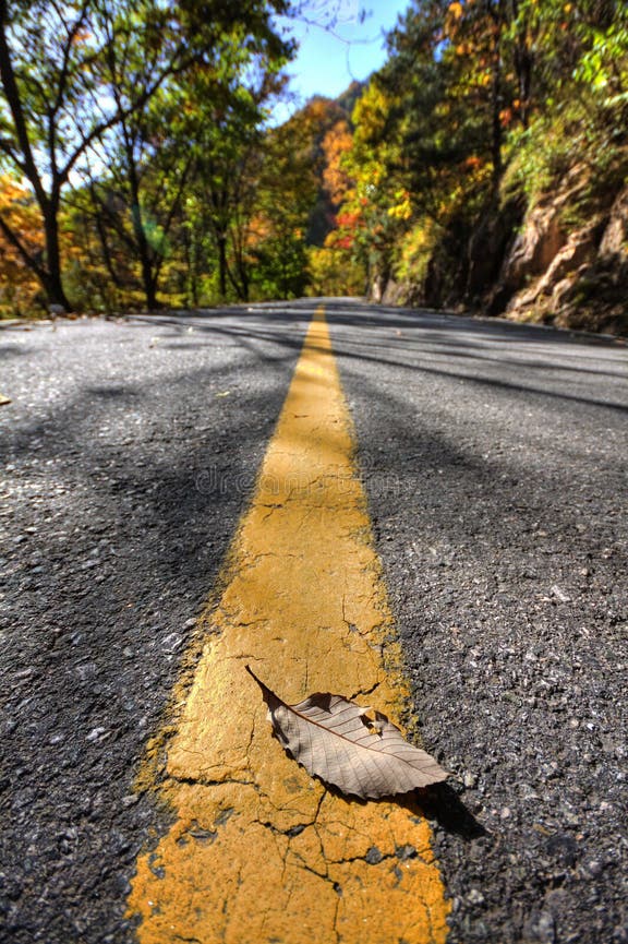 Autumn leaves on the road stock image. Image of flying - 17598493
