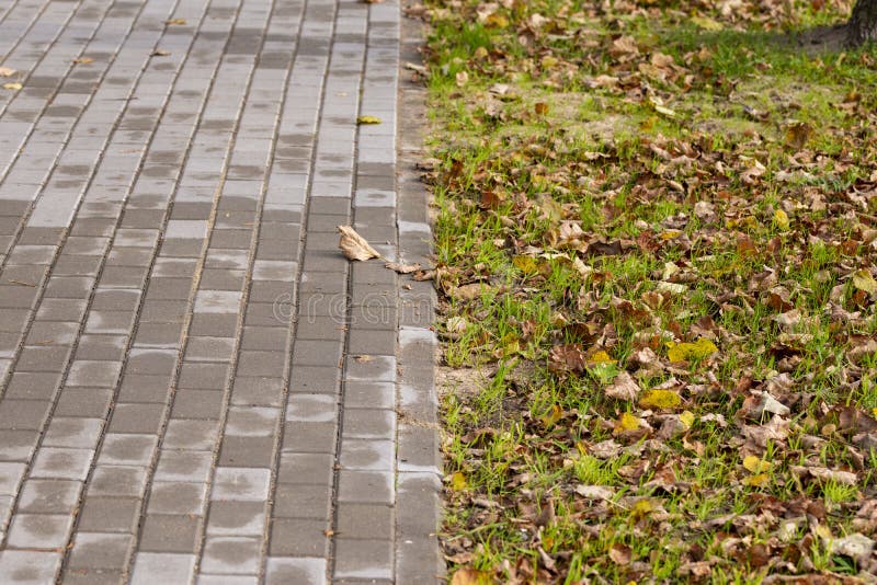 Autumn Leaves on the Road, Sidewalk and Lawn on a Cloudy Autumn Day ...