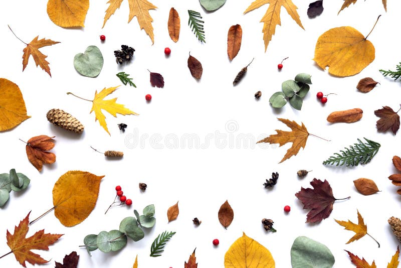 Autumn Leaves Round Pattern Stock Photo - Image of leaf, decor: 162524882