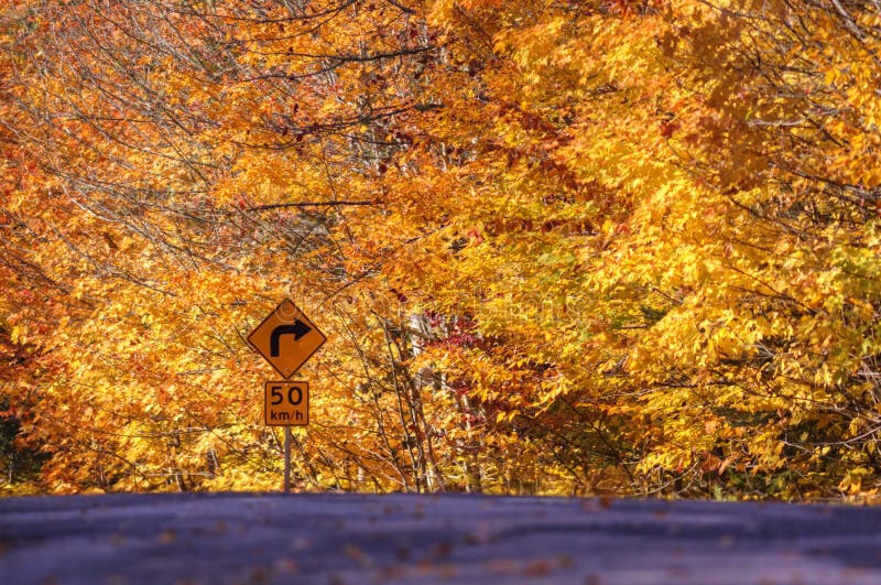 Autumn Leaves Rural Road Sign Stock Photo - Image of seasonal, brown ...