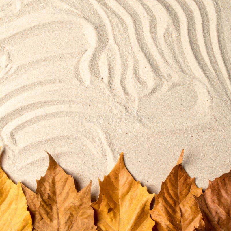 Autumn Leaves on Sand Background Texture Stock Illustration ...
