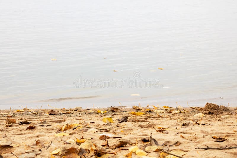 Autumn Leaves on Sand on Shore of Lake Stock Image - Image of ...