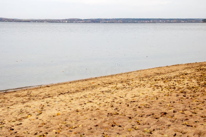 Autumn Leaves on Sand on Shore of Lake Stock Image - Image of bright ...