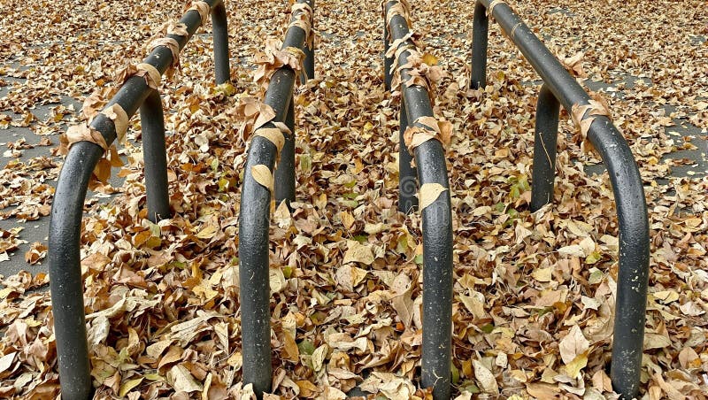 Autumn Leaves Scattered on Bike Rack Hindering Locking Stock ...