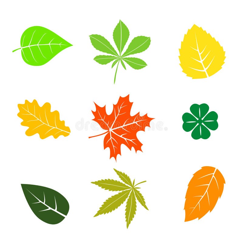 Autumn Leaves Set Stock Illustrations 57 543 Autumn Leaves Set Stock