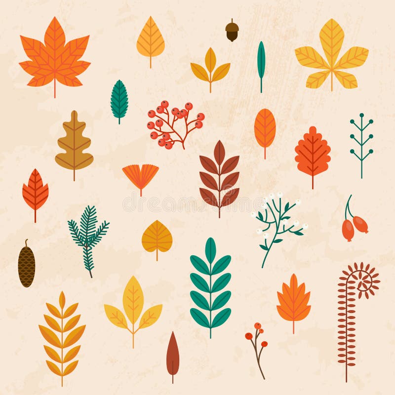 Autumn Leaves Set. Flat Design Modern Vector Illustration Concept Stock ...