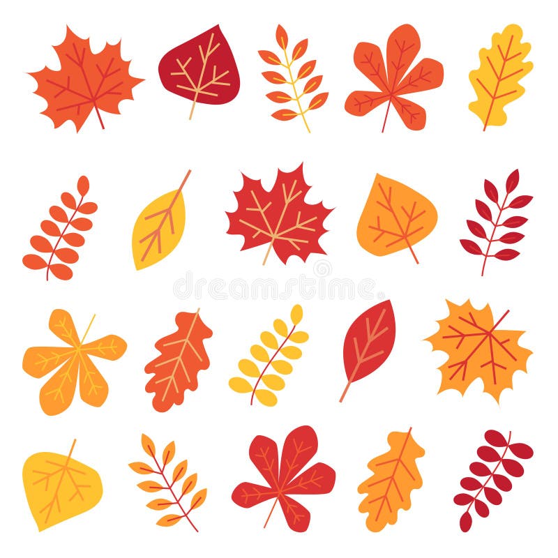 Autumn Leaves Set Isolated on White Background Stock Vector ...