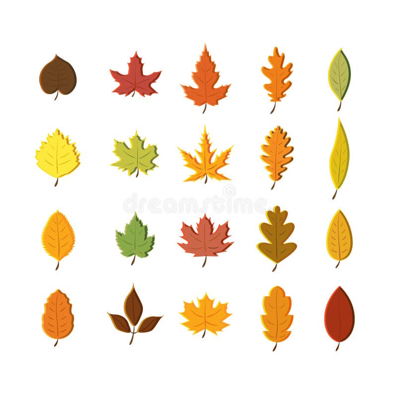 Autumn Leaves Set, Isolated on White Background. Simple Cartoon Flat ...