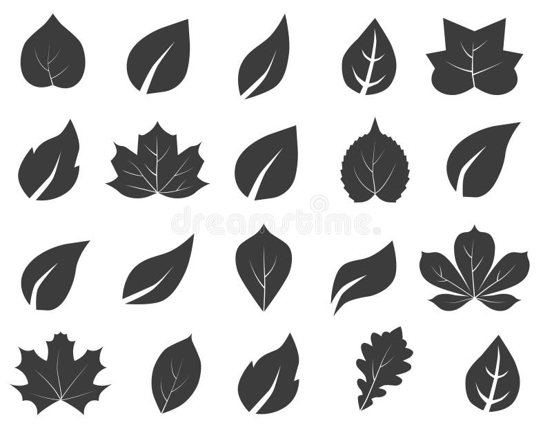 Autumn Leaves. Set of Silhouettes of Autumn Leaves. Autumn Design ...