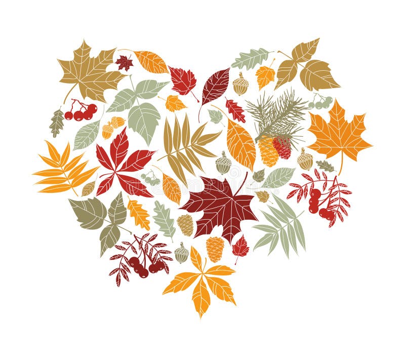 Autumn Leaves Heart stock vector. Illustration of leaf - 11262963