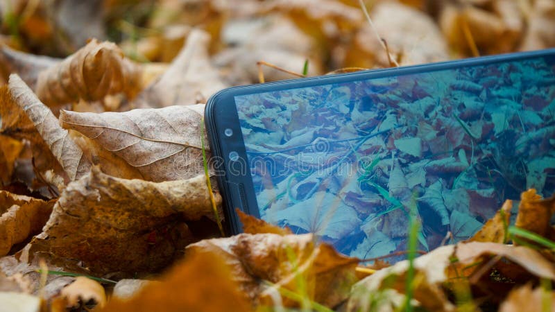 Autumn Leaves on the Smartphone Screen Stock Image - Image of golden ...