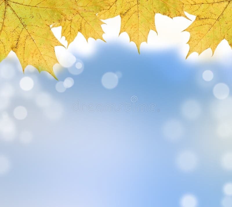 Autumn Leaves on Soft Background Stock Photo - Image of blue, autumnal ...
