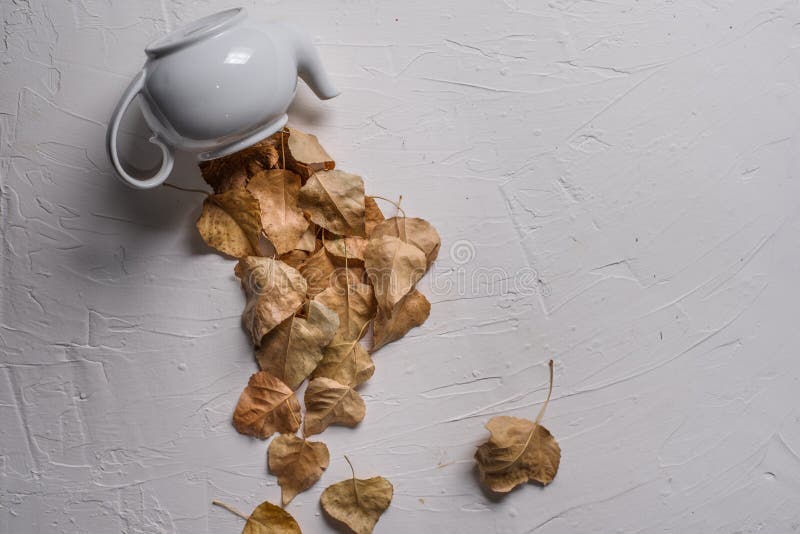 Autumn Leaves Spilling and Flowing Out of Tea Pot Stock Photo - Image ...