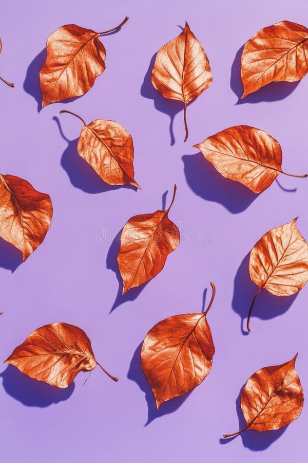 Autumn Leaves Spread Out Textured Surface Stock Photos - Free & Royalty ...