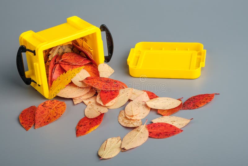 Autumn Leaves Sprinkled from a Yellow Plastic Container on a Gray ...
