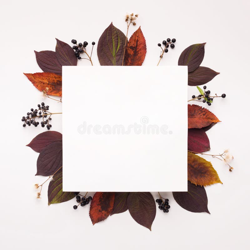 Autumn Leaves Square Frame with Copy Space Stock Image - Image of leaf ...