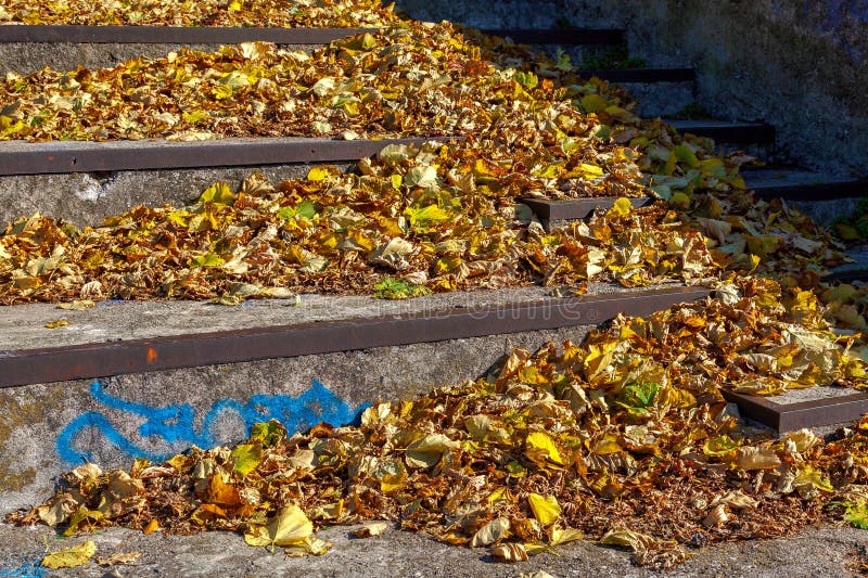 Autumn Leaves on Steps at Lake Como Stock Photo - Image of heap ...