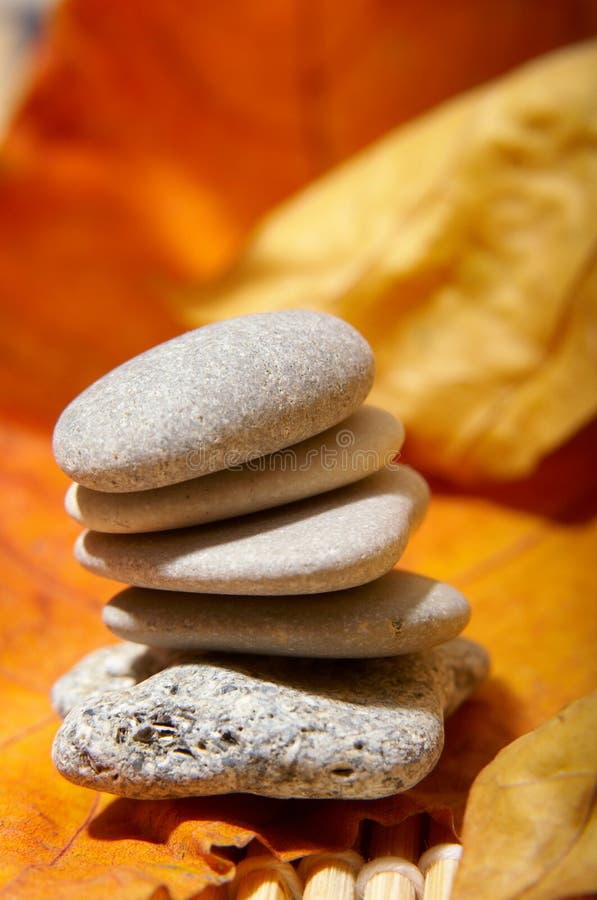 Autumn leaves and stones stock photo. Image of botanical - 3612628