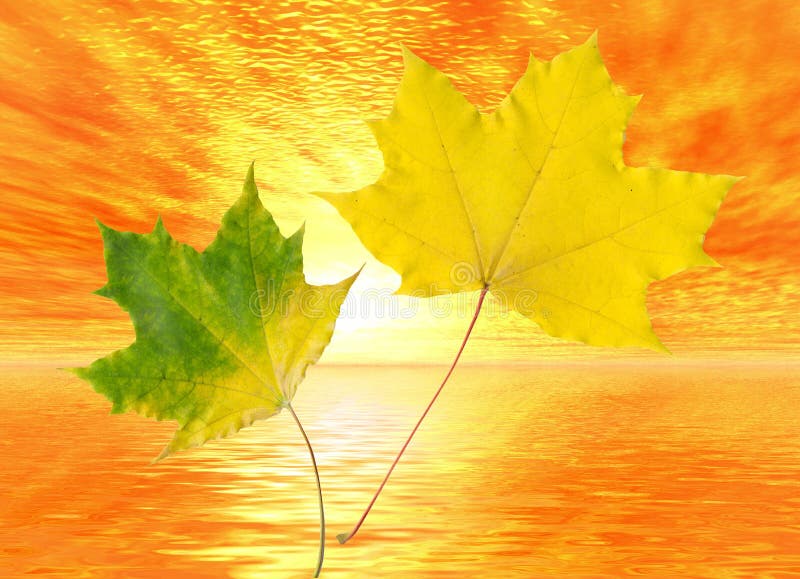 Autumn leaves. Sunset stock illustration. Illustration of ocean - 2940451