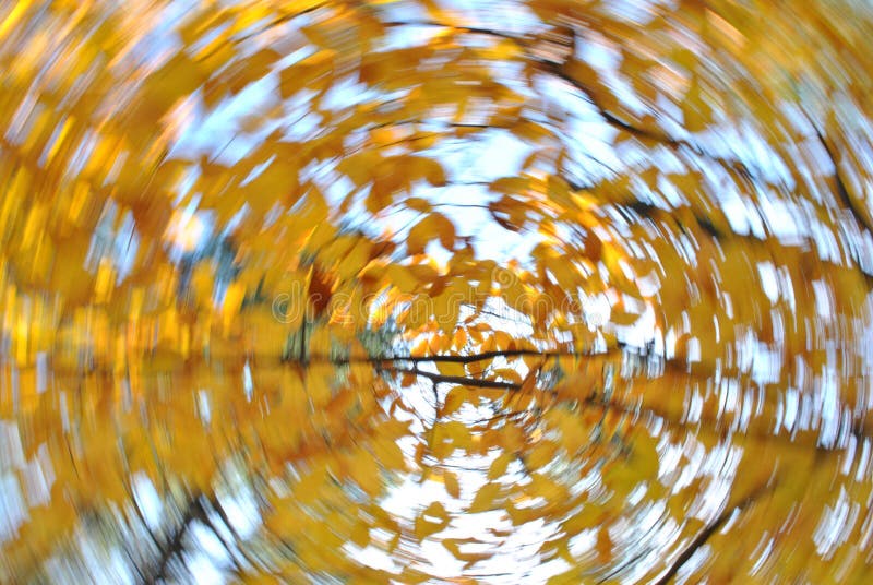 Autumn Leaves Swirl stock illustration. Illustration of turn - 51856604