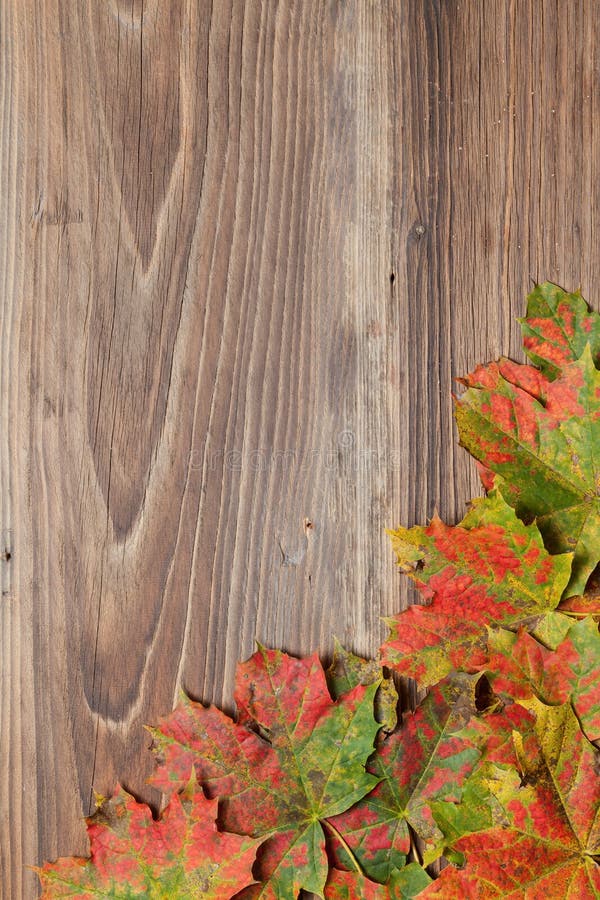 Autumn leaves on table stock photo. Image of copy, flora - 46397264