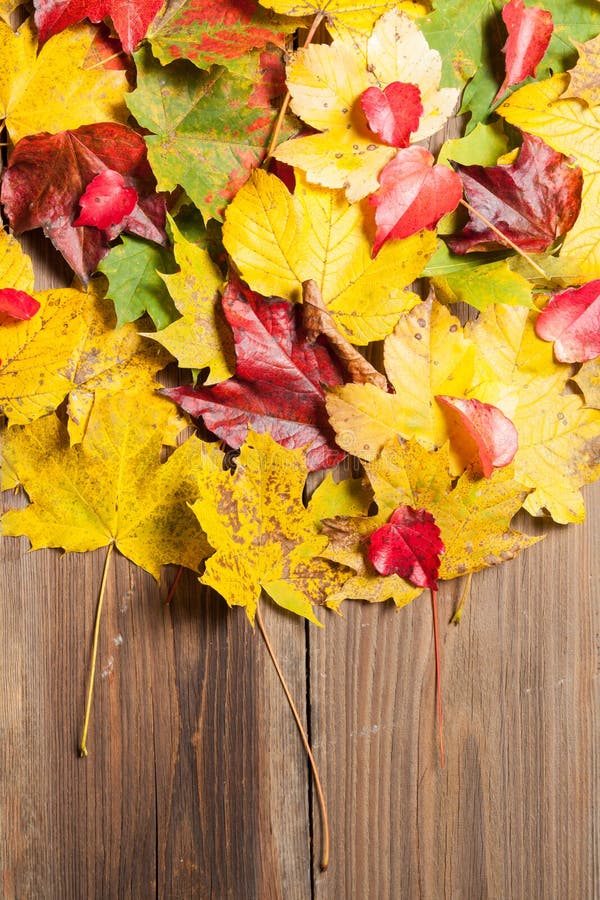 Autumn leaves on table stock photo. Image of natural - 46397520