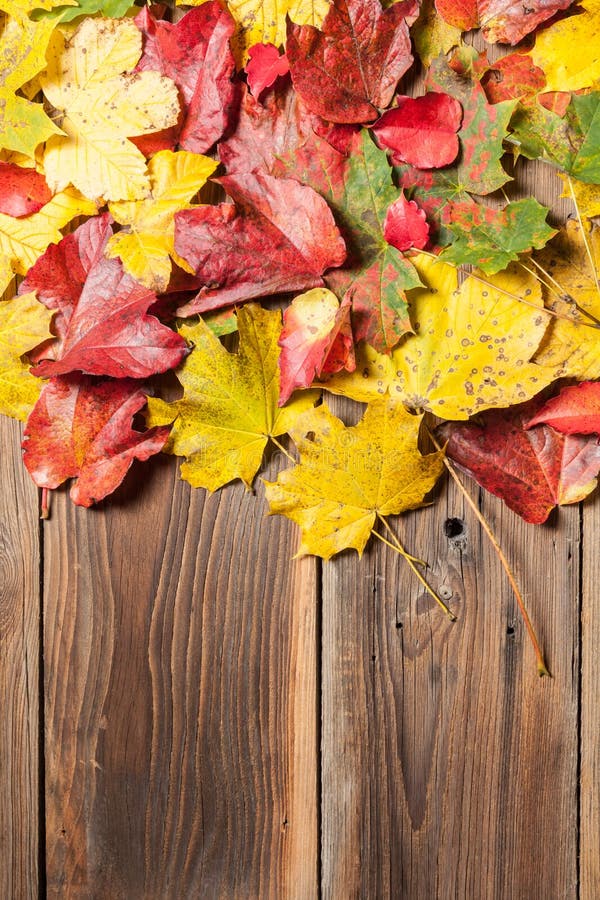 Autumn leaves on table stock image. Image of autumn, november - 46399635