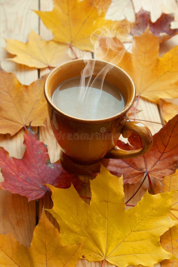 Autumn Leaves in Table, Cup of Hot Coffee, Autumn Mood Concept Stock ...