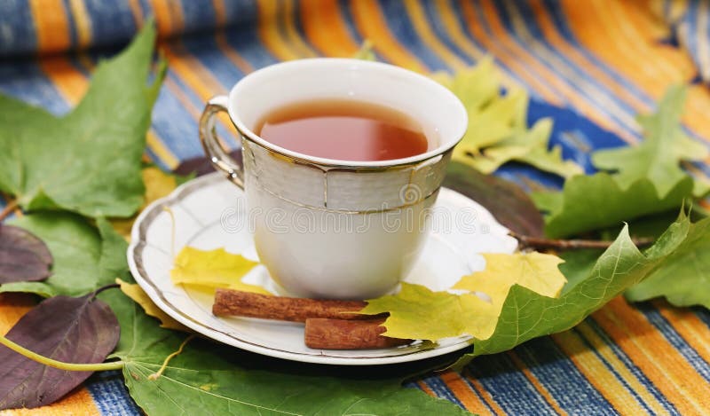 Autumn Leaves and Tea on a Plaid Stock Image - Image of open, education ...