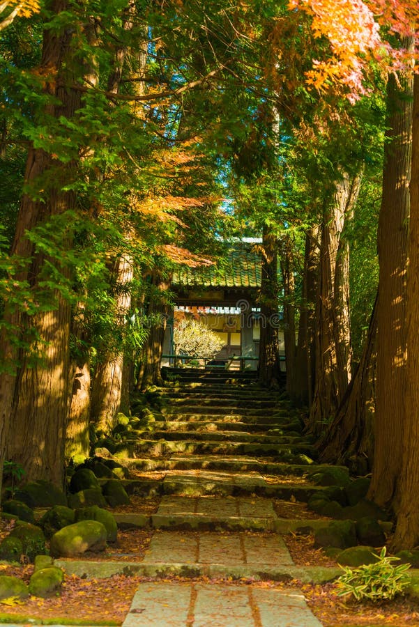 Autumn leaves in temple. stock image. Image of autumn - 84200029