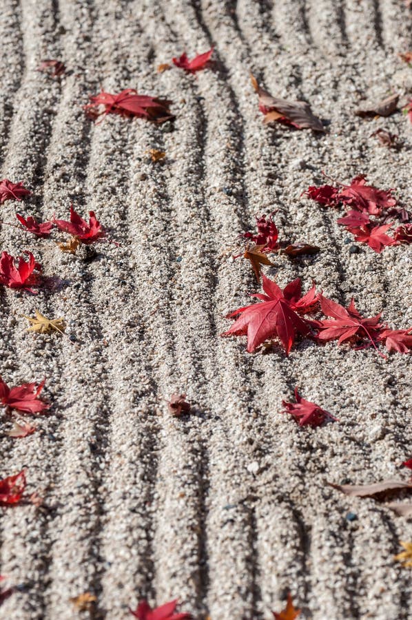 Autumn leaves in temple. stock image. Image of natural - 84200097
