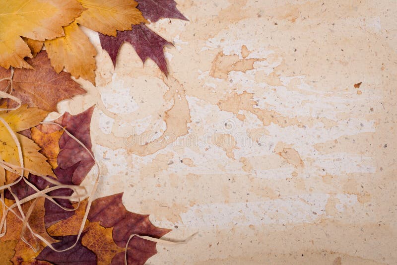 Autumn Leaves on Textured Paper Stock Photo - Image of background ...