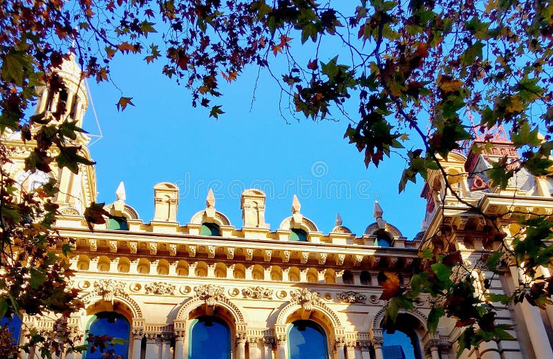 Autumn leaves at Town Hall stock photo. Image of building - 72059032