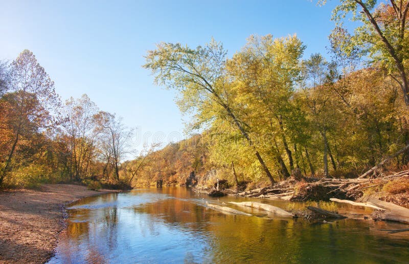 Autumn Leaves and Trees on River Stock Image - Image of rural, scene ...