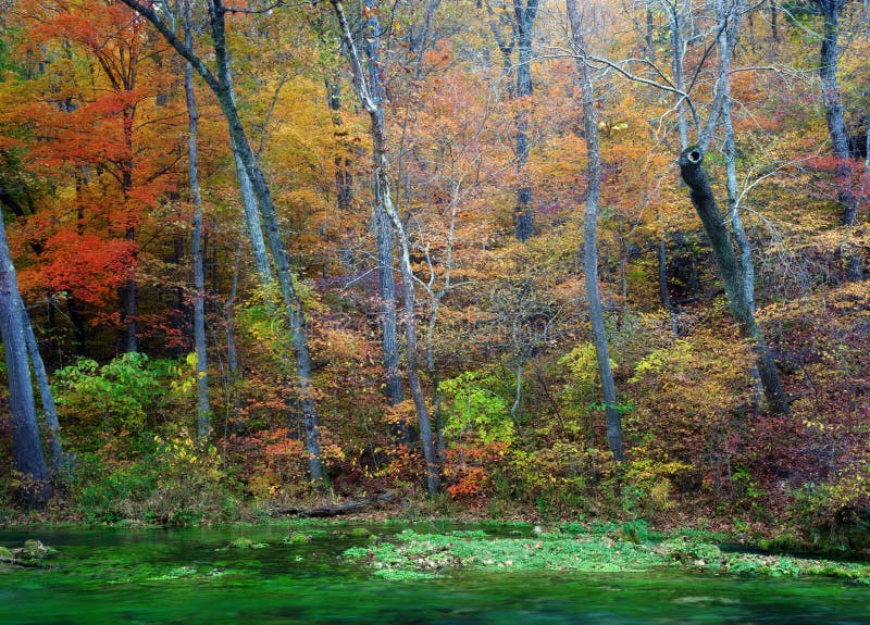 Autumn Leaves and Trees on River Stock Image - Image of forest ...