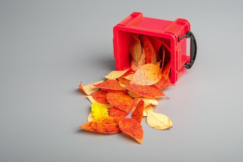 Autumn Leaves of Trees Sprinkled from a Plastic Container on a Gray ...