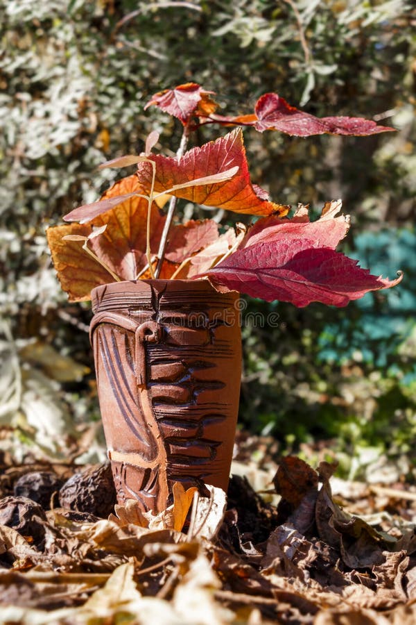 Autumn leaves in a vase stock image. Image of vase, garden - 129058667
