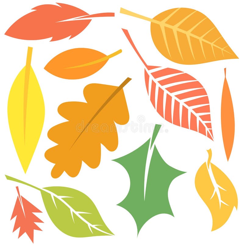 Autumn leaves vector stock vector. Illustration of leaf - 79516101