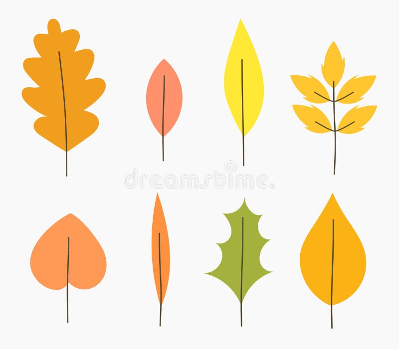 Autumn leaves vector stock vector. Illustration of green - 79516658