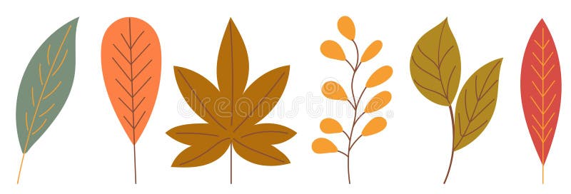 Autumn Leaves on White Back, Ground Vector Vector Stock Illustration ...